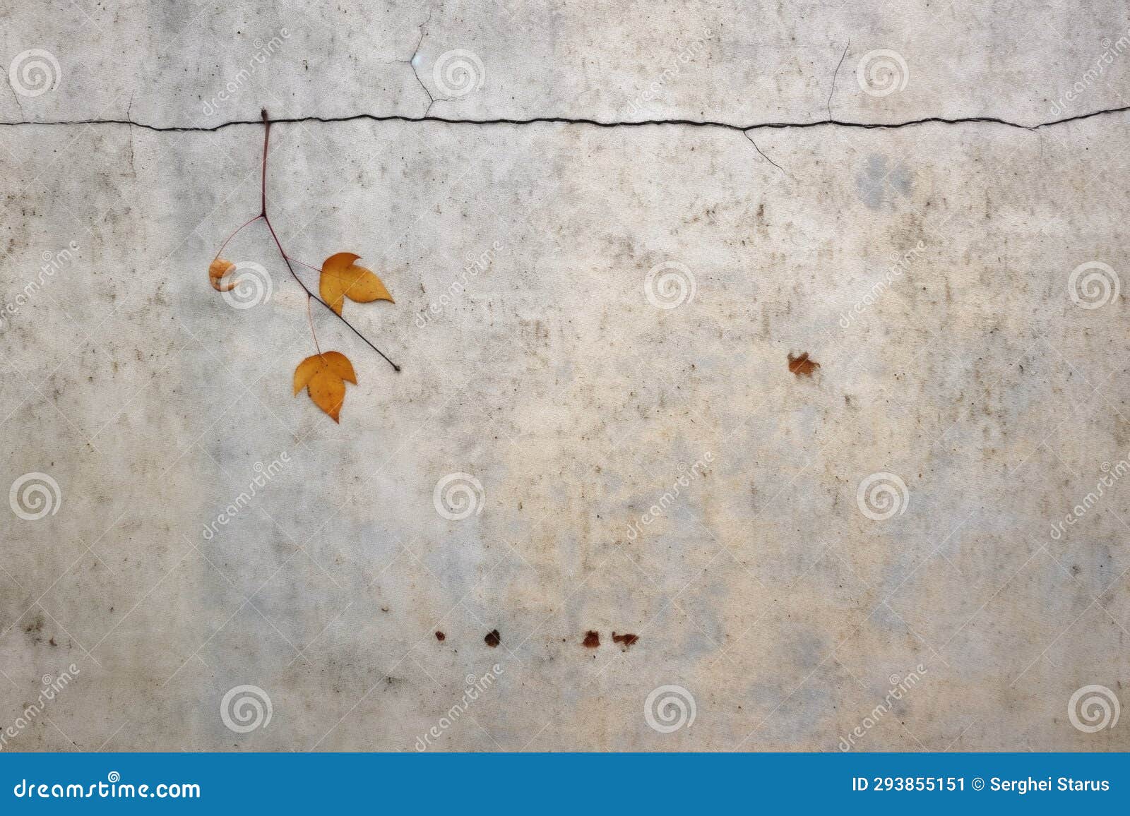 A Single Leaf on a Wire on a Concrete Wall, AI Stock Image - Image of ...