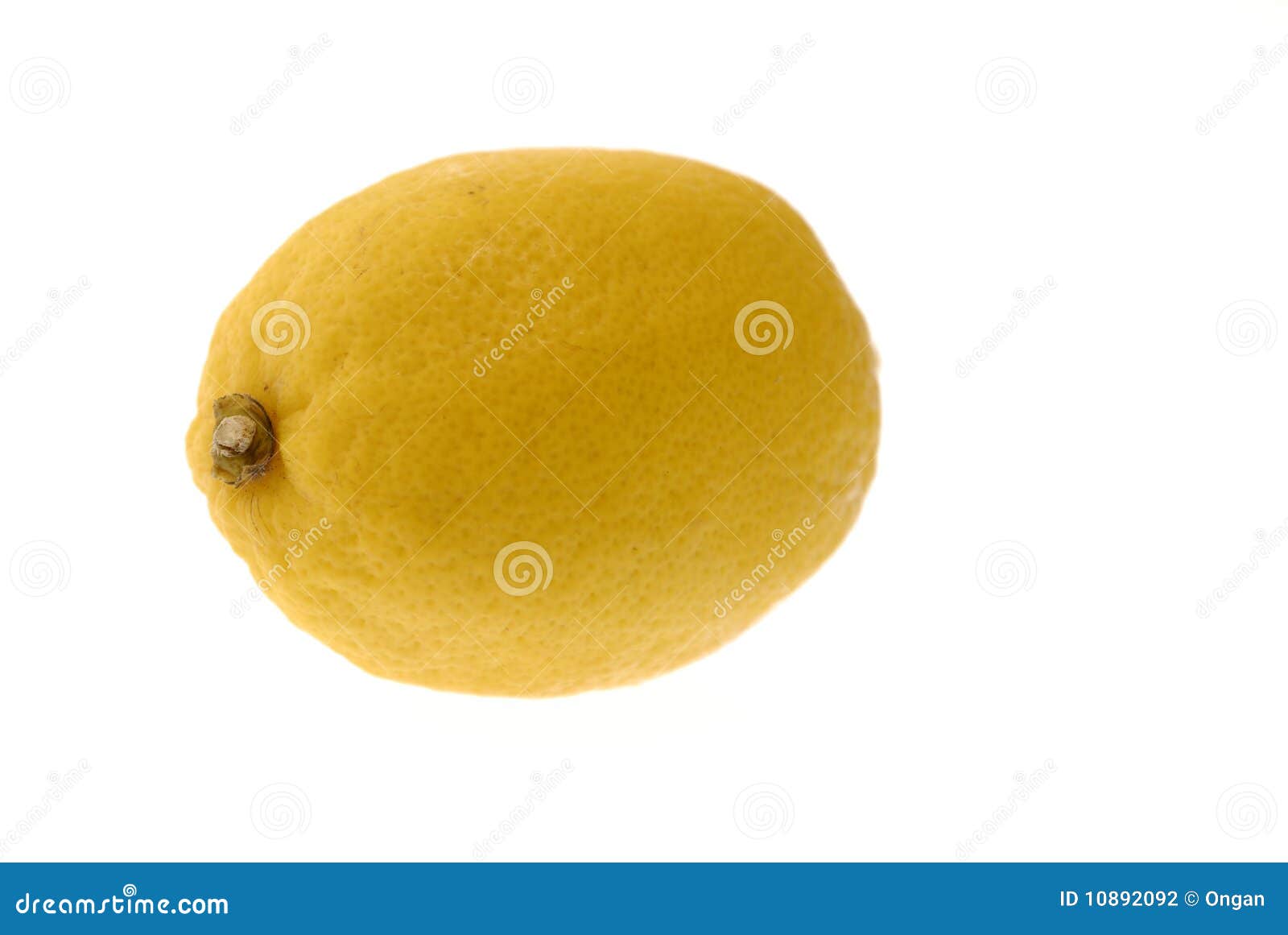 Single lemon stock photo. Image of freshness, healthy - 10892092