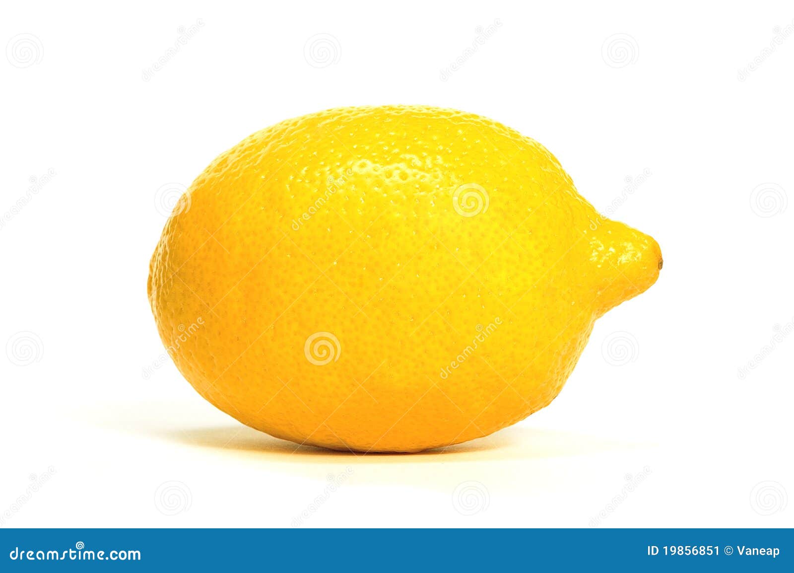 A single Lemon stock image. Image of aliment, cross, vegetables - 19856851