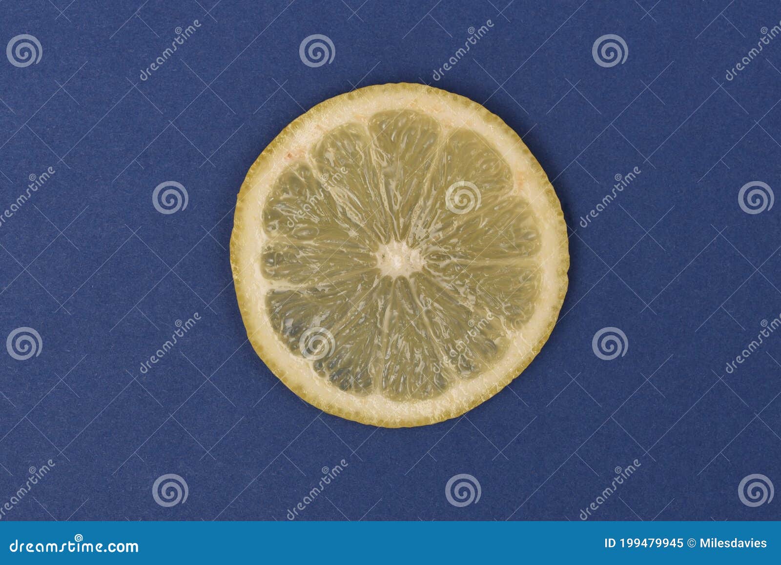 A Single Lemon Slice on a Blue Background Stock Image - Image of lemons ...
