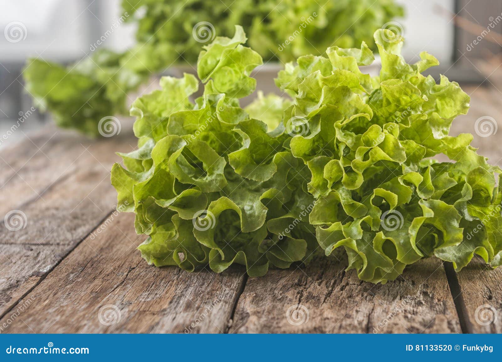 Single Lettuce Head Over Rustic Wooden Background Stock Photo - Image ...