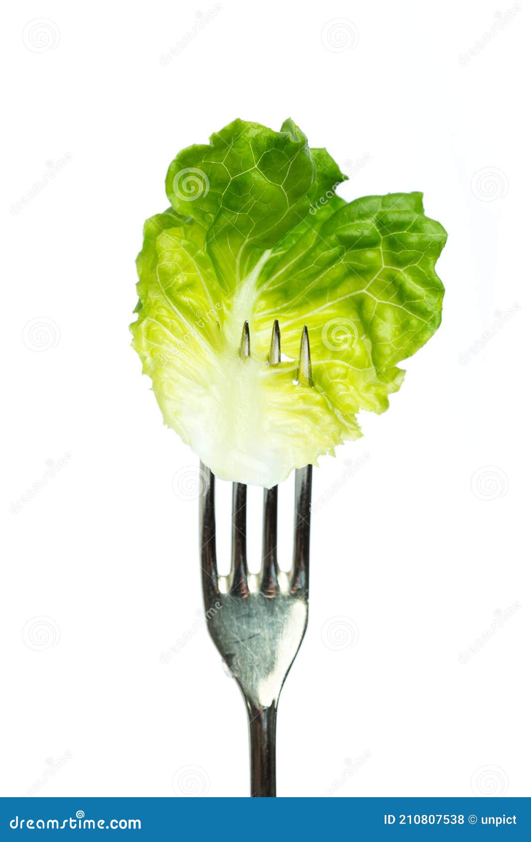 A Single Lettuce Leaf on a Silver Fork Stock Photo - Image of eating ...