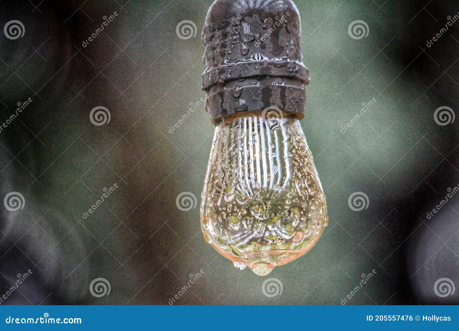 Single light bulb stock photo. Image of single, bulb - 205557476