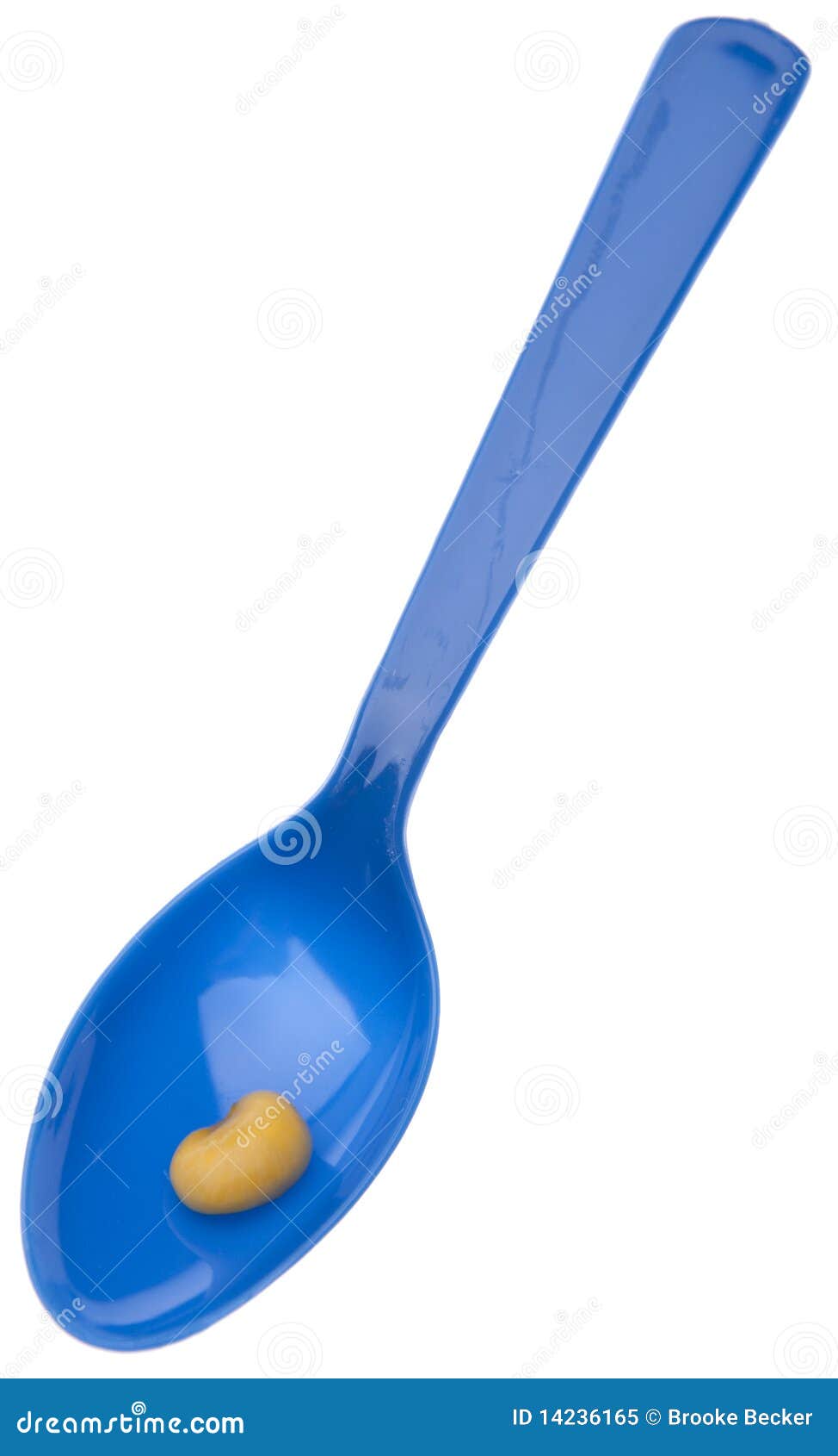 Single lima bean stock image. Image of portion, path - 14236165