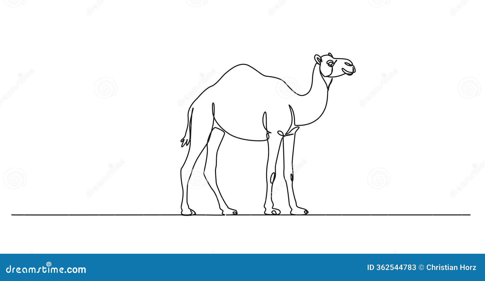 Single Line Drawing of a Camel Stock Vector - Illustration of vector ...