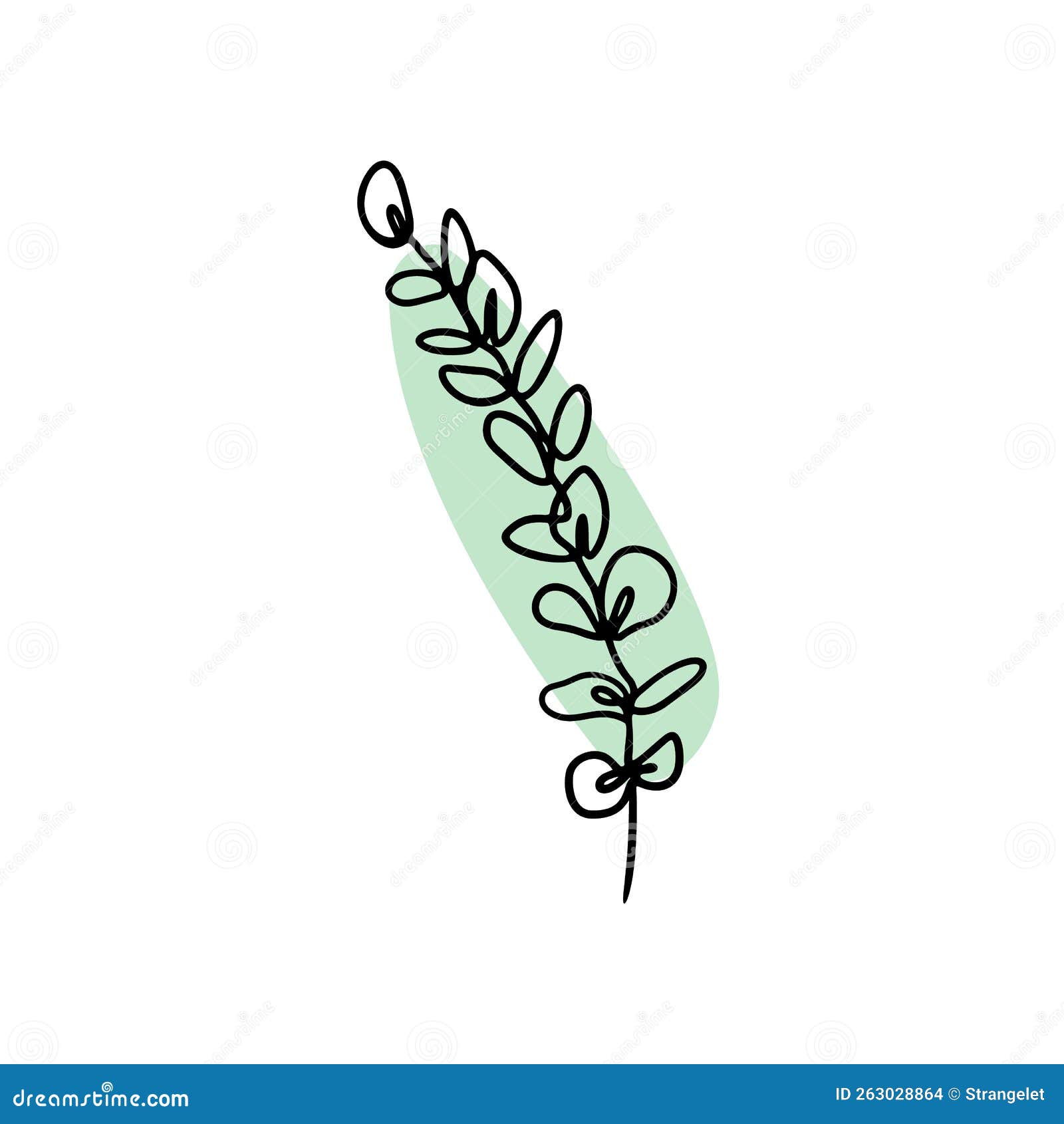 Single Line Drawing of Eucalyptus Branch on White Stock Vector ...