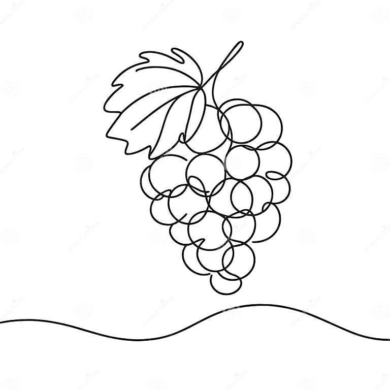 A Single Line Drawing of a Grape with a Leaf on Top Stock Illustration ...