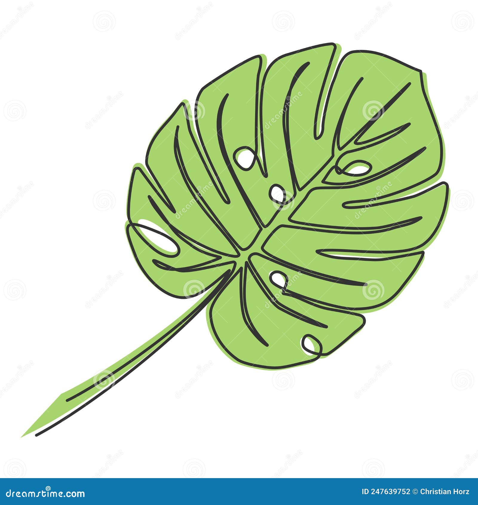 Single Line Drawing of Monstera Leaf Stock Vector - Illustration of ...