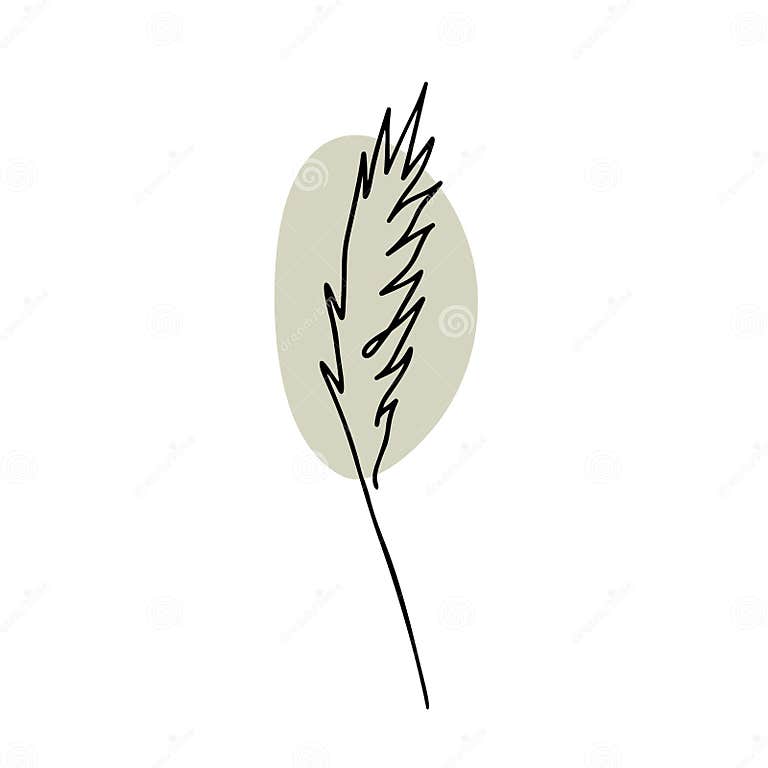 Single Line Drawing of Pampas Grass on White Stock Vector ...
