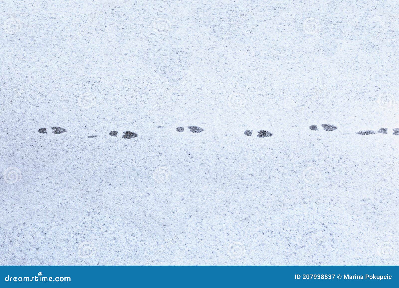 Single Line of Footsteps in Fresh Snow Stock Image - Image of follow ...