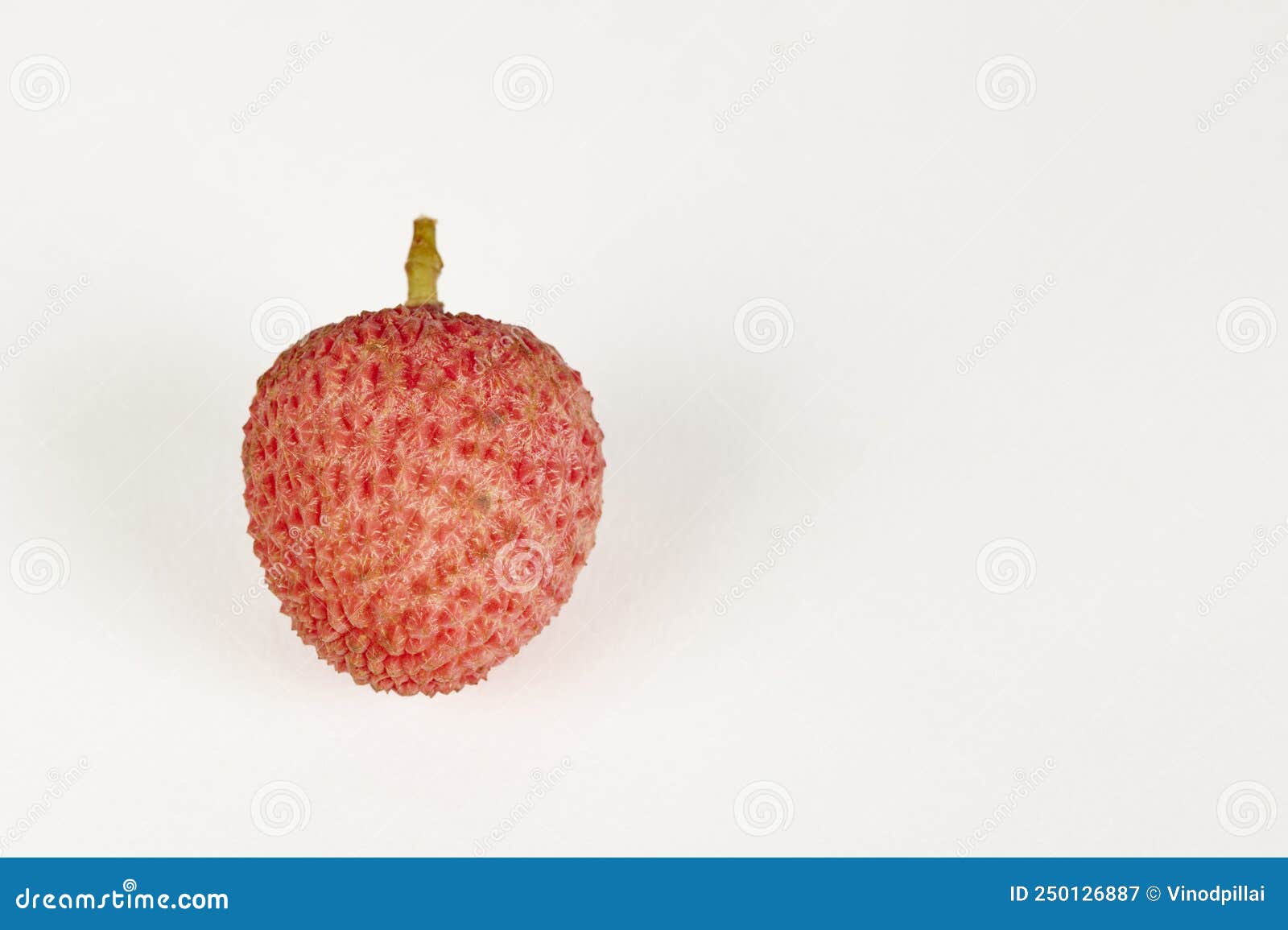 Single Litchi Fruit on White Stock Image - Image of freshness, juicy ...