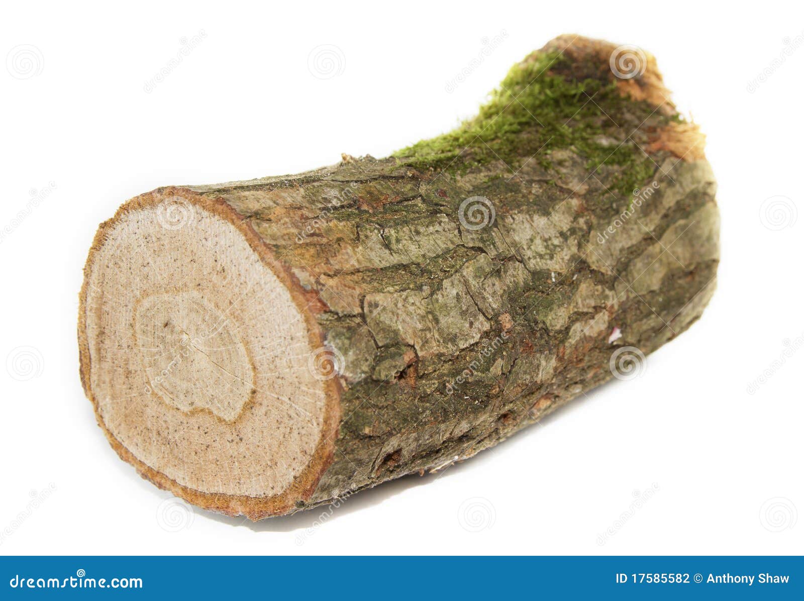 A Single log stock photo. Image of nature, rough, piece - 17585582