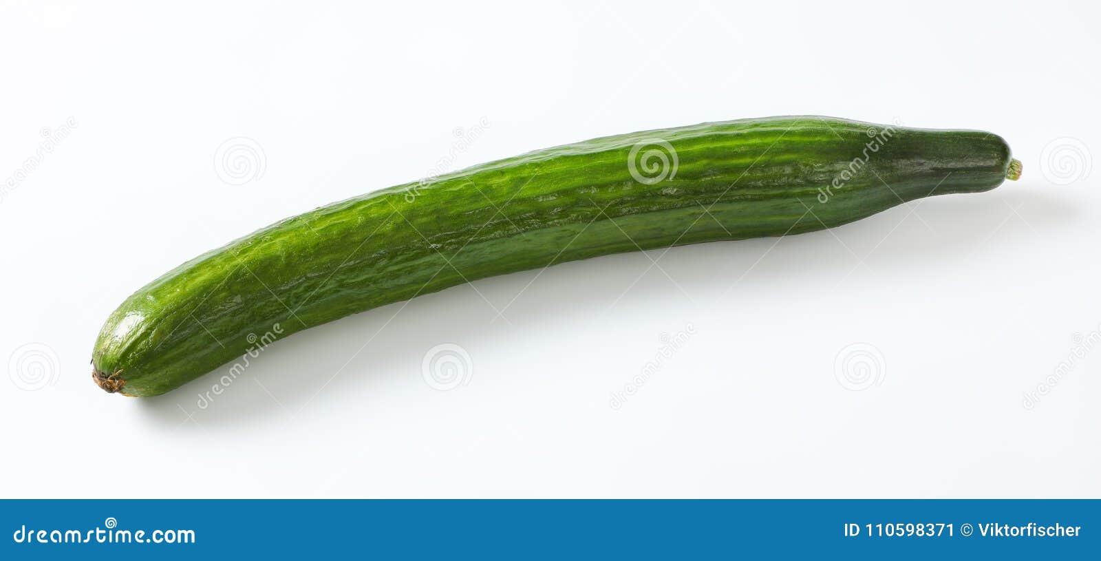 Single long cucumber stock image. Image of homegrown - 110598371