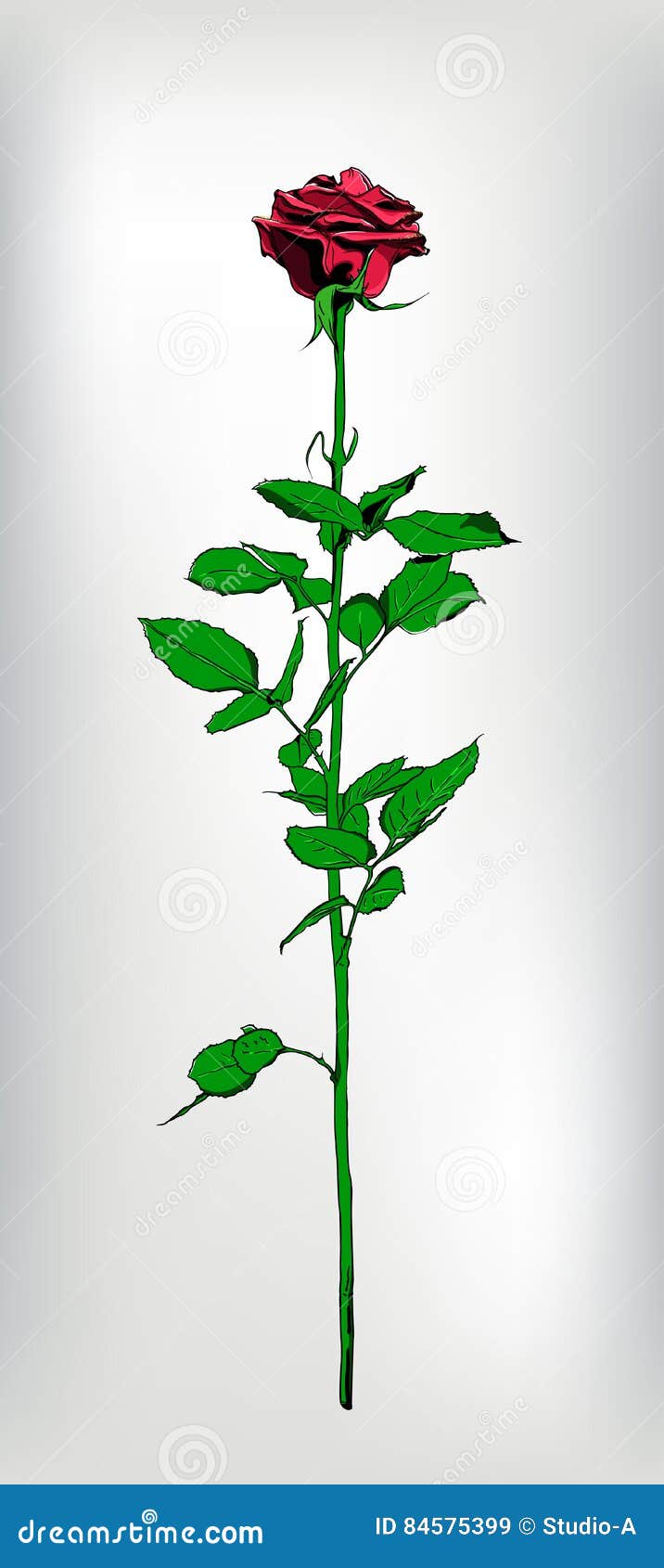 Single Long Stem Red Rose. Hand Drawn.Vector Illustration. Stock Vector ...
