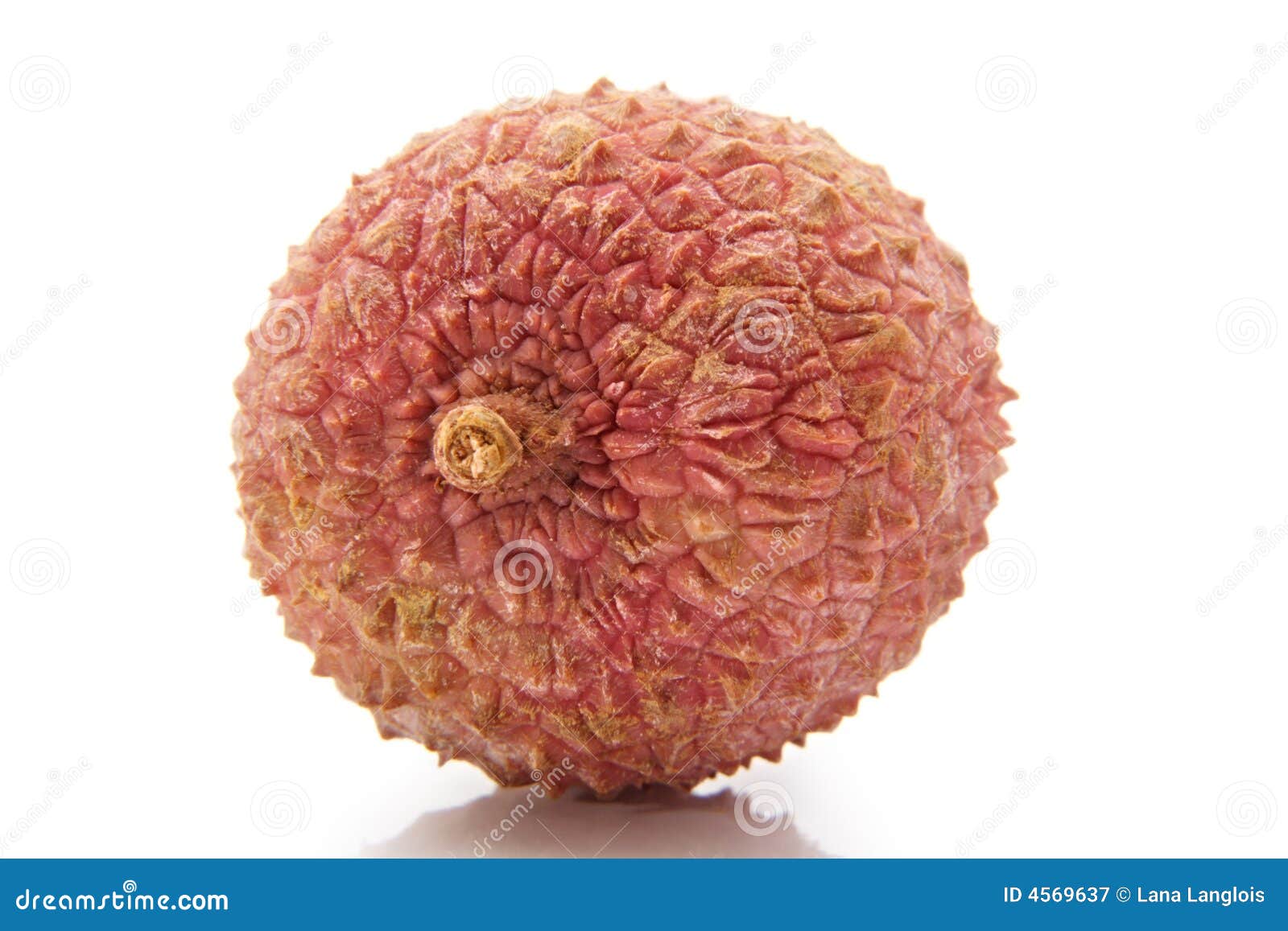 Single lychee stock image. Image of food, litchee, delicious - 4569637