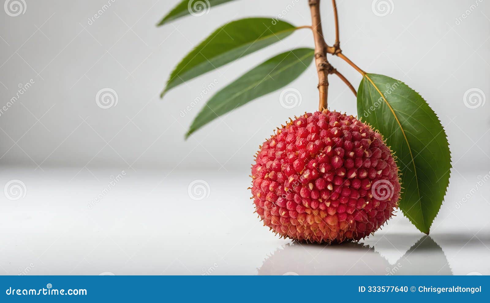 Single Lychee Fruit Isolated in Pure White Ai Generated Stock ...