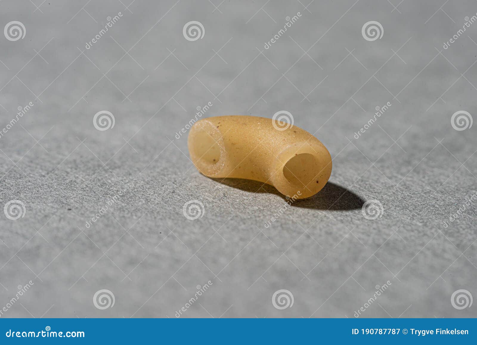 A Single Macaroni on Grey Background Stock Image - Image of food ...