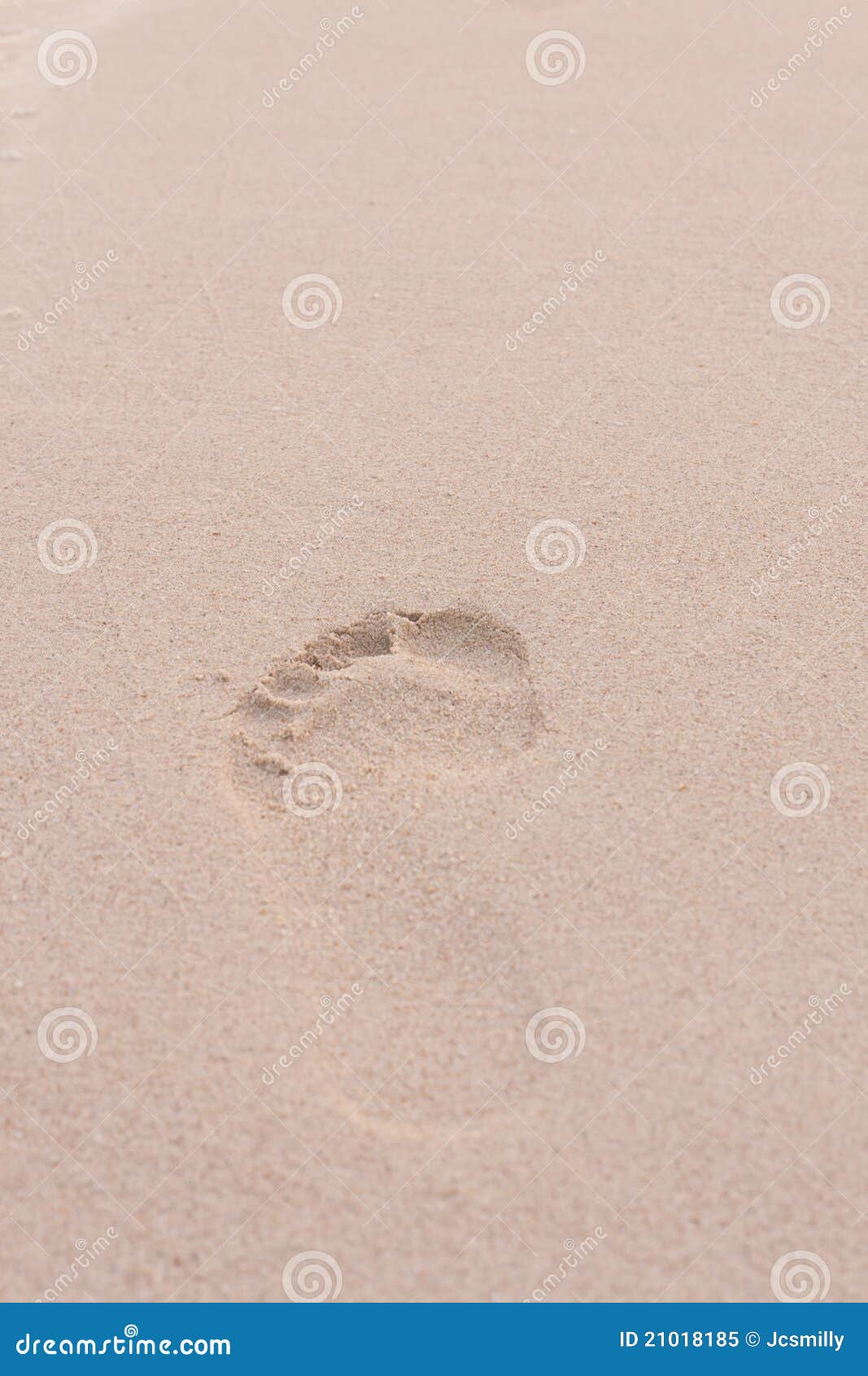 Single Man Foot Print on a White Sand Beach Stock Image - Image of ...