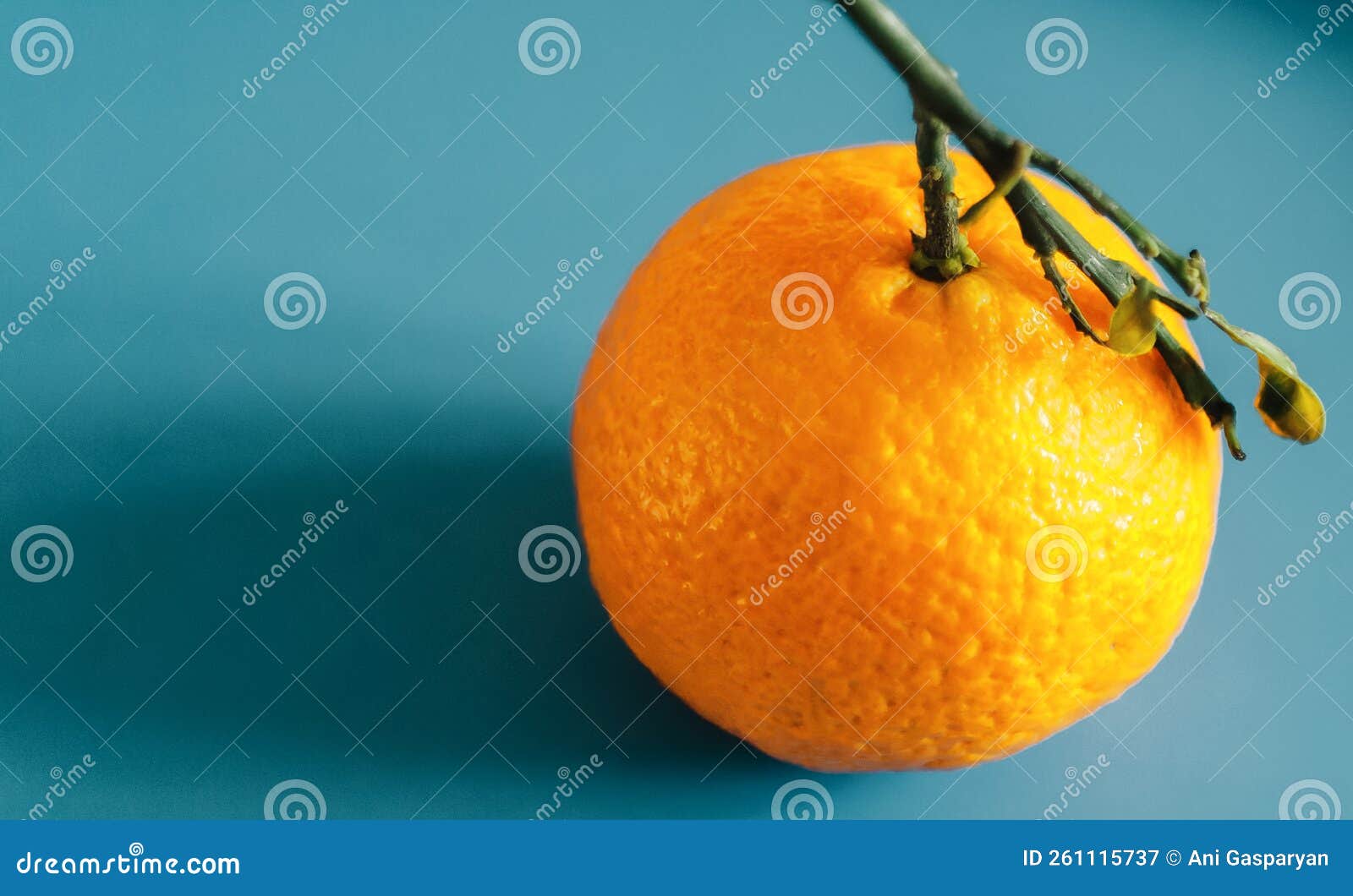 Isolated Single Mandarin on Cyan Background, Yelow and Orange Colors ...
