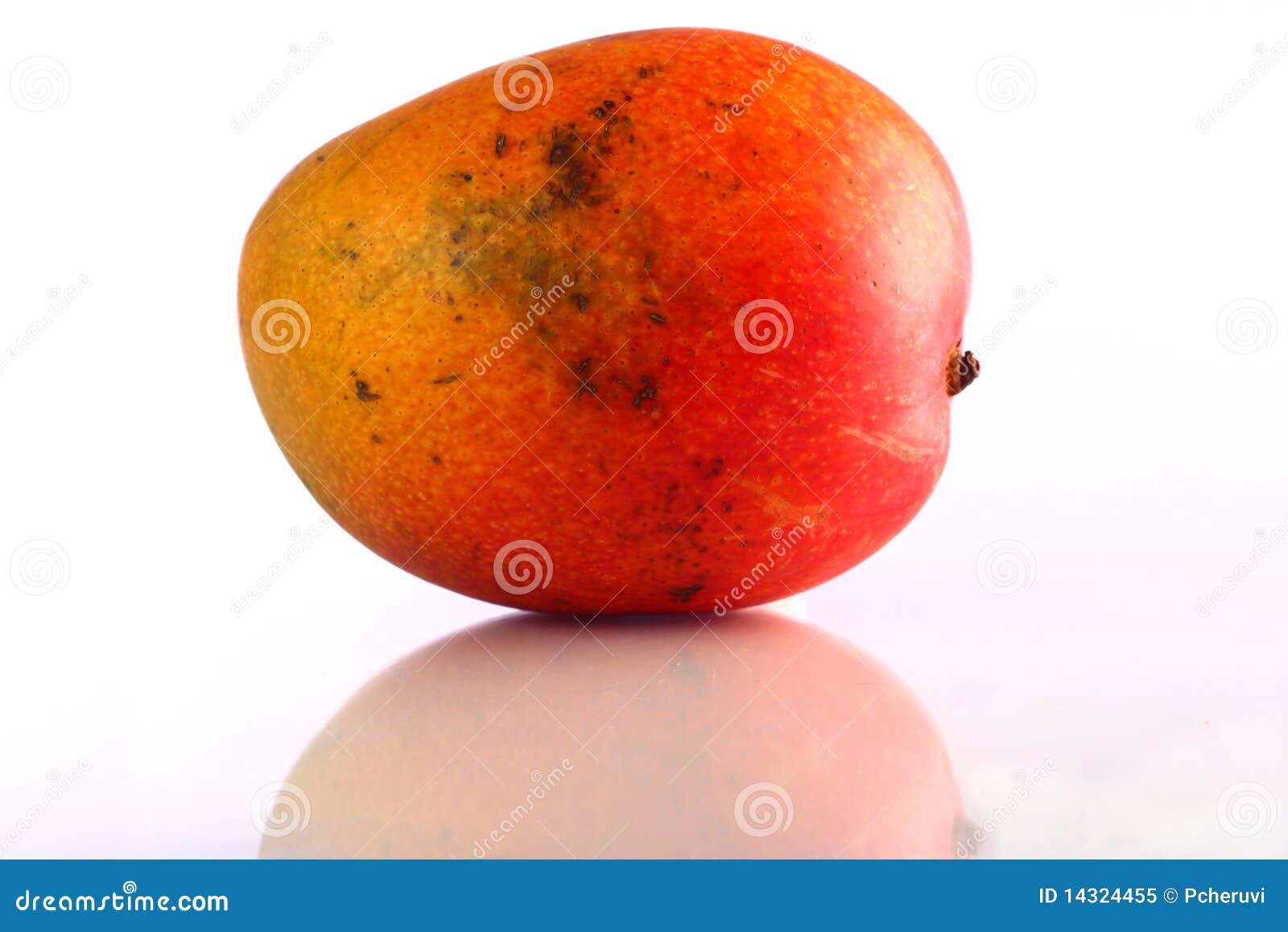 Single Mango Picture. Image: 14324455