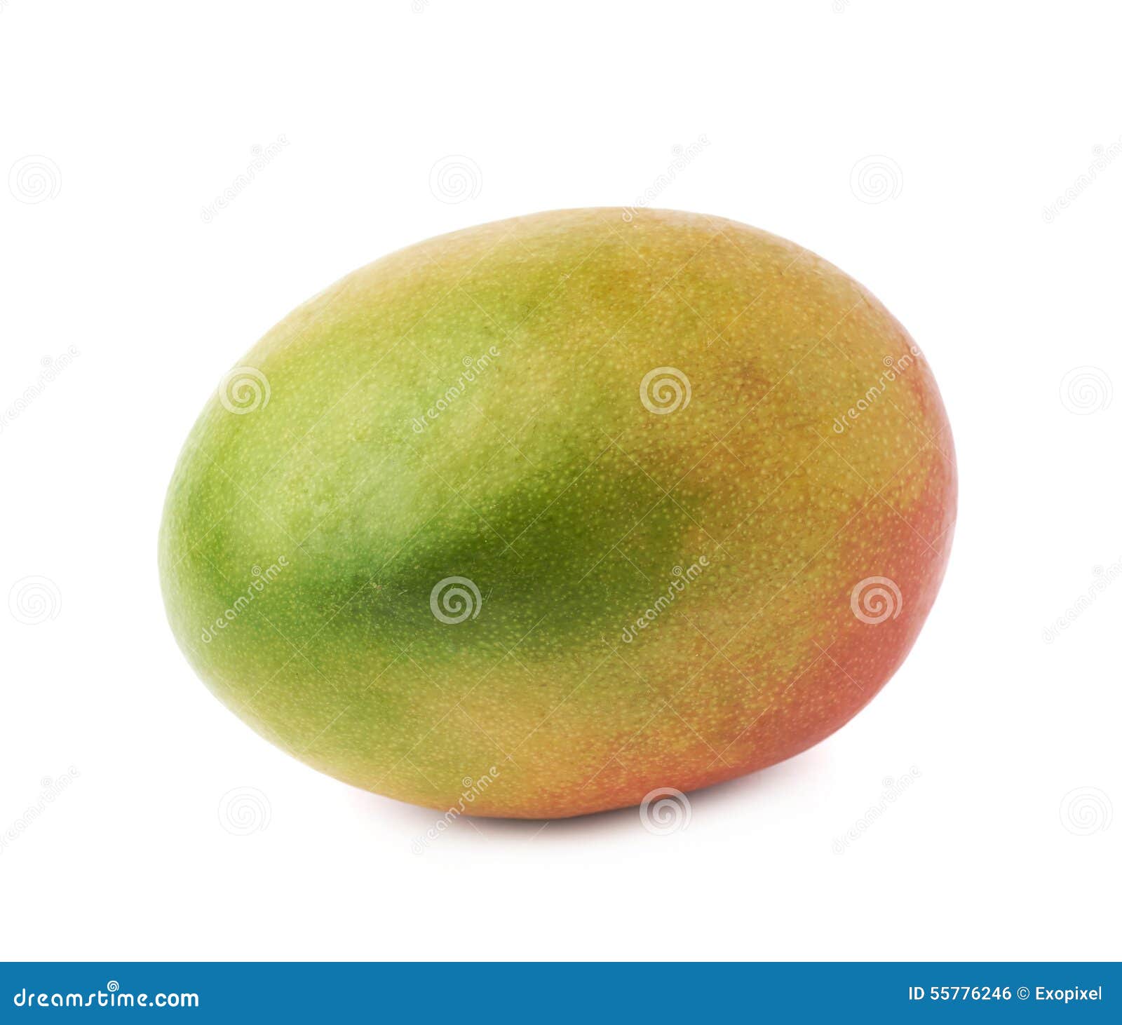 Single Mango Fruit Isolated Stock Photo - Image of ripe, exotic: 55776246