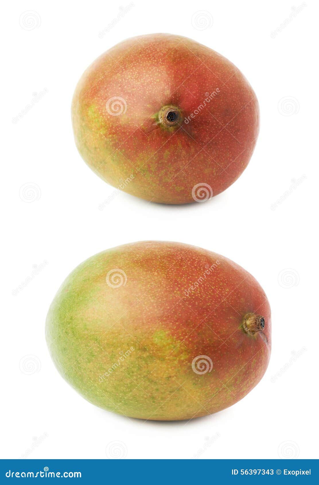Single Mango Fruit Isolated Stock Image - Image of juicy, citrus: 56397343