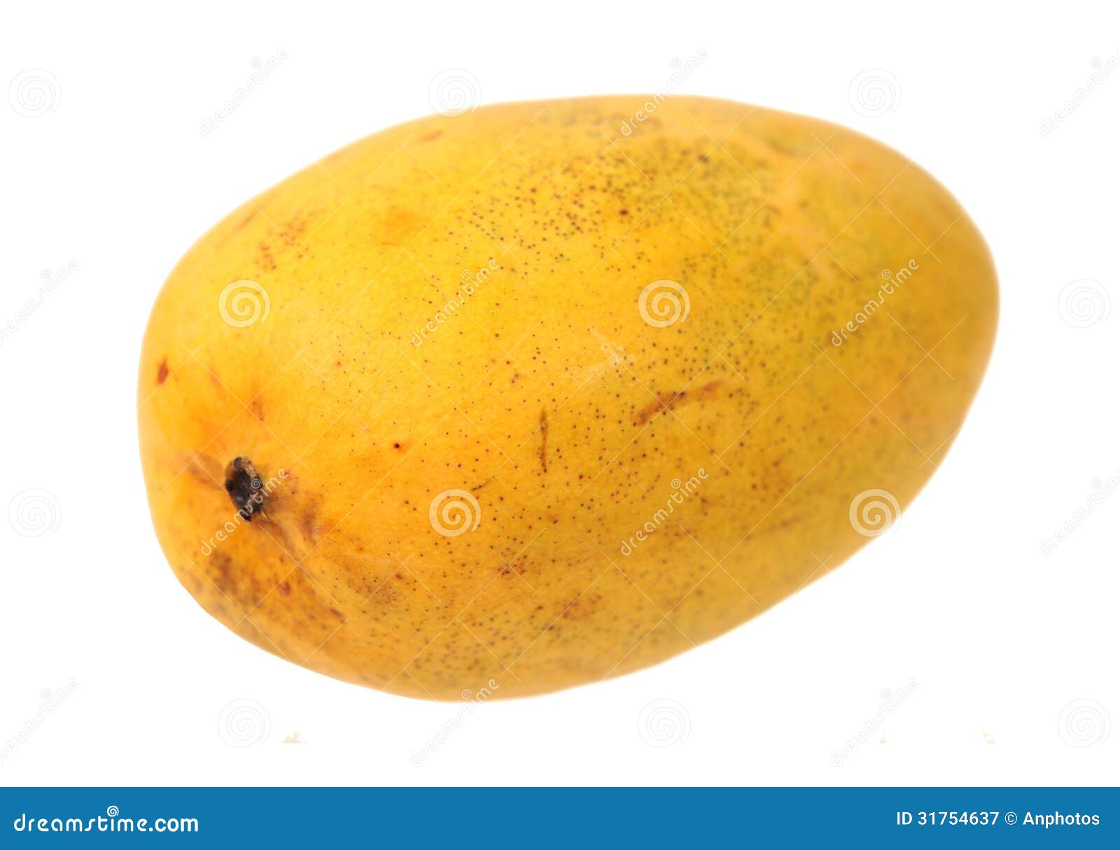 Single mango stock image. Image of nutrition, sweet, healthy - 31754637