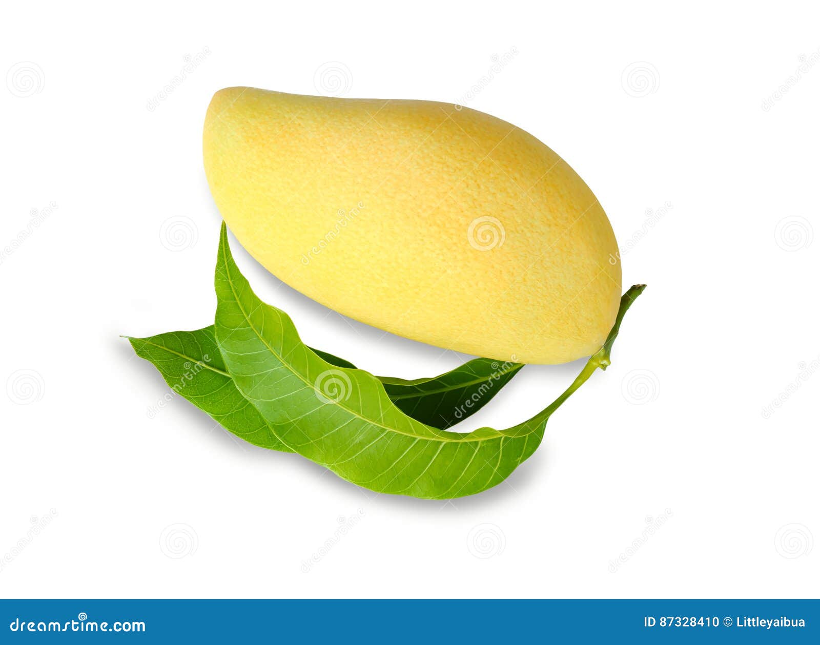 Single Mango Isolated On White Background Royalty-Free Stock ...