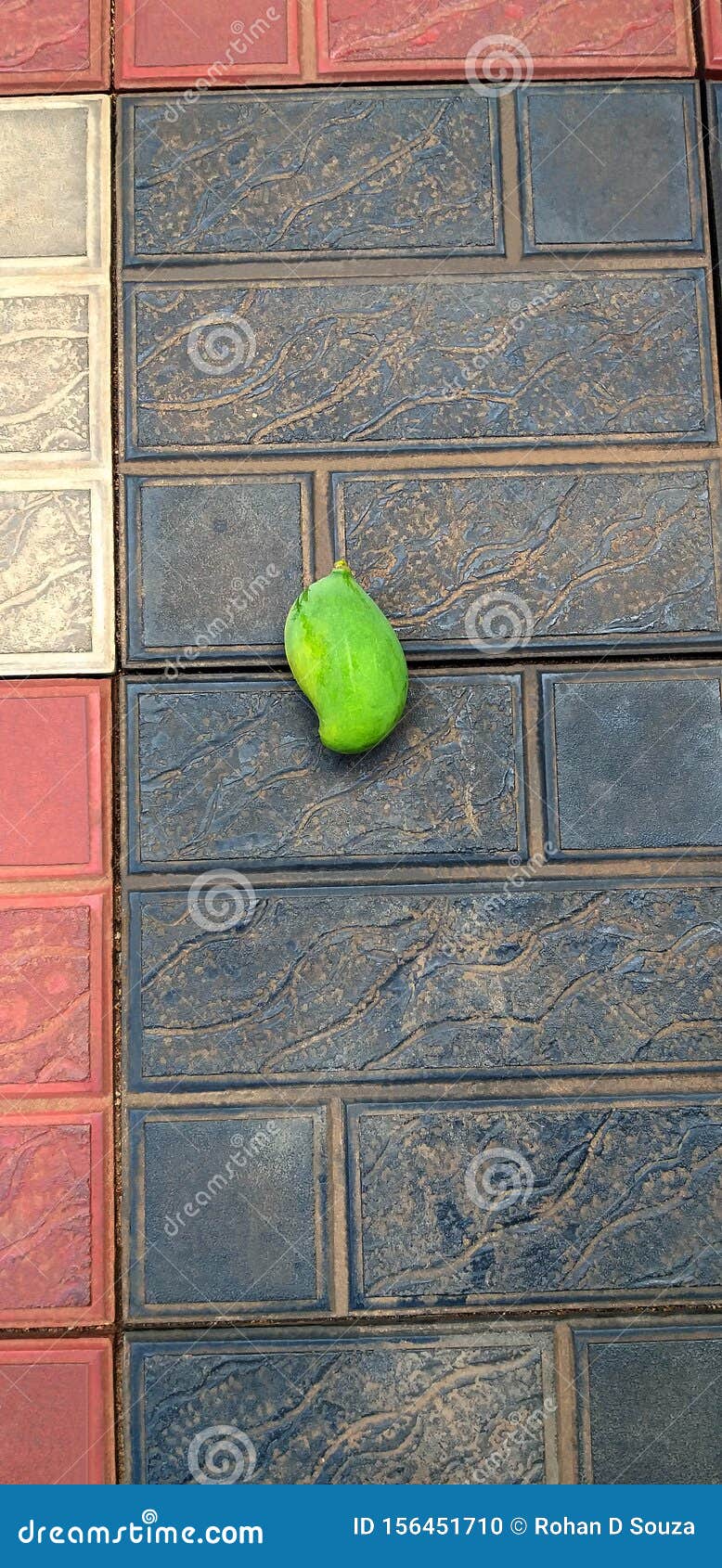Single Mango Placed on the Ground Stock Photo - Image of daytime ...
