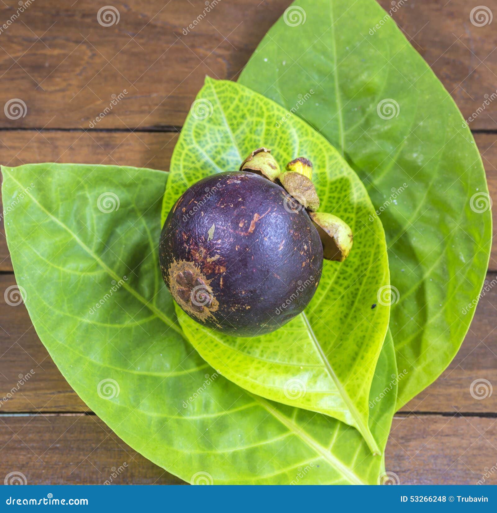 Single Mangostin and Fresh Green Leaf Stock Photo - Image of nutrition ...
