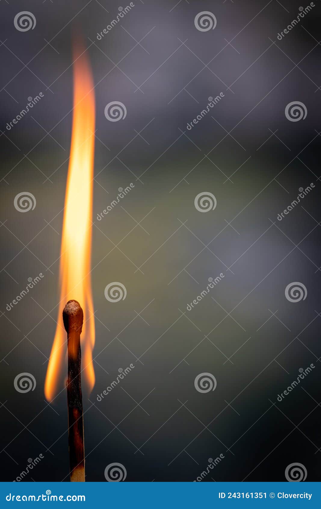 Single Match Stick Flame stock image. Image of fire - 243161351
