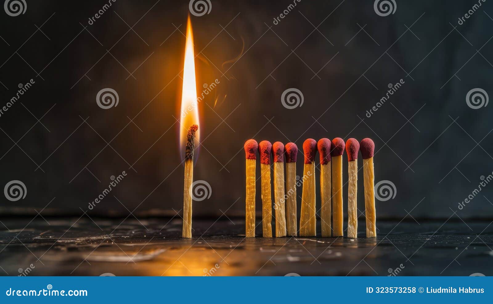 A Single Matchstick is Lit on Fire in Front of a Row of Matches Stock ...