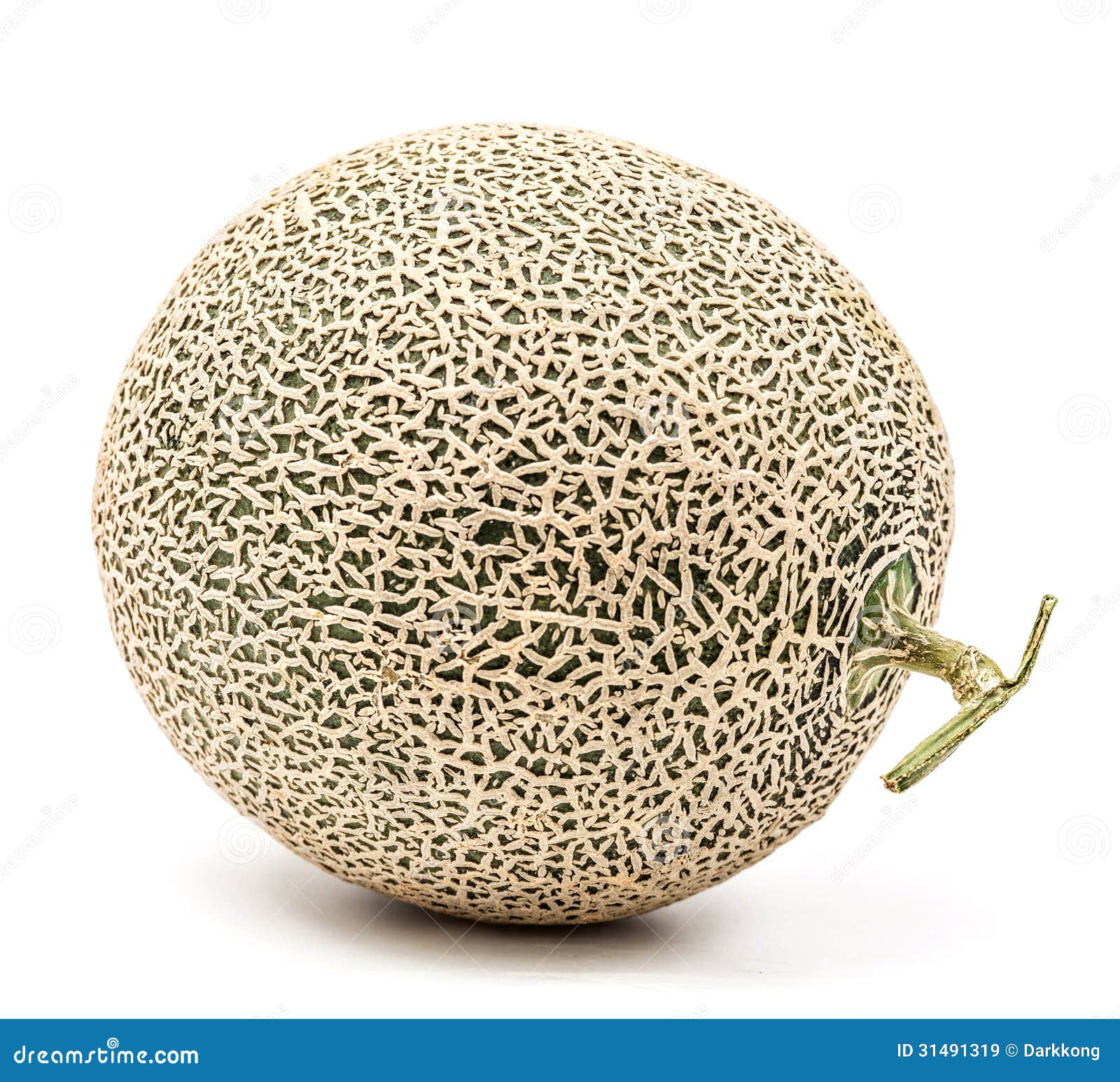 Single melon stock image. Image of melon, closeup, healthy - 31491319