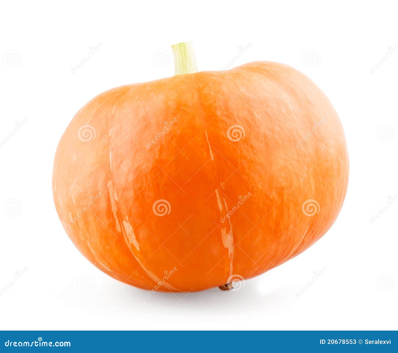 Single mini pumpkin stock image. Image of halloween, single - 20678553