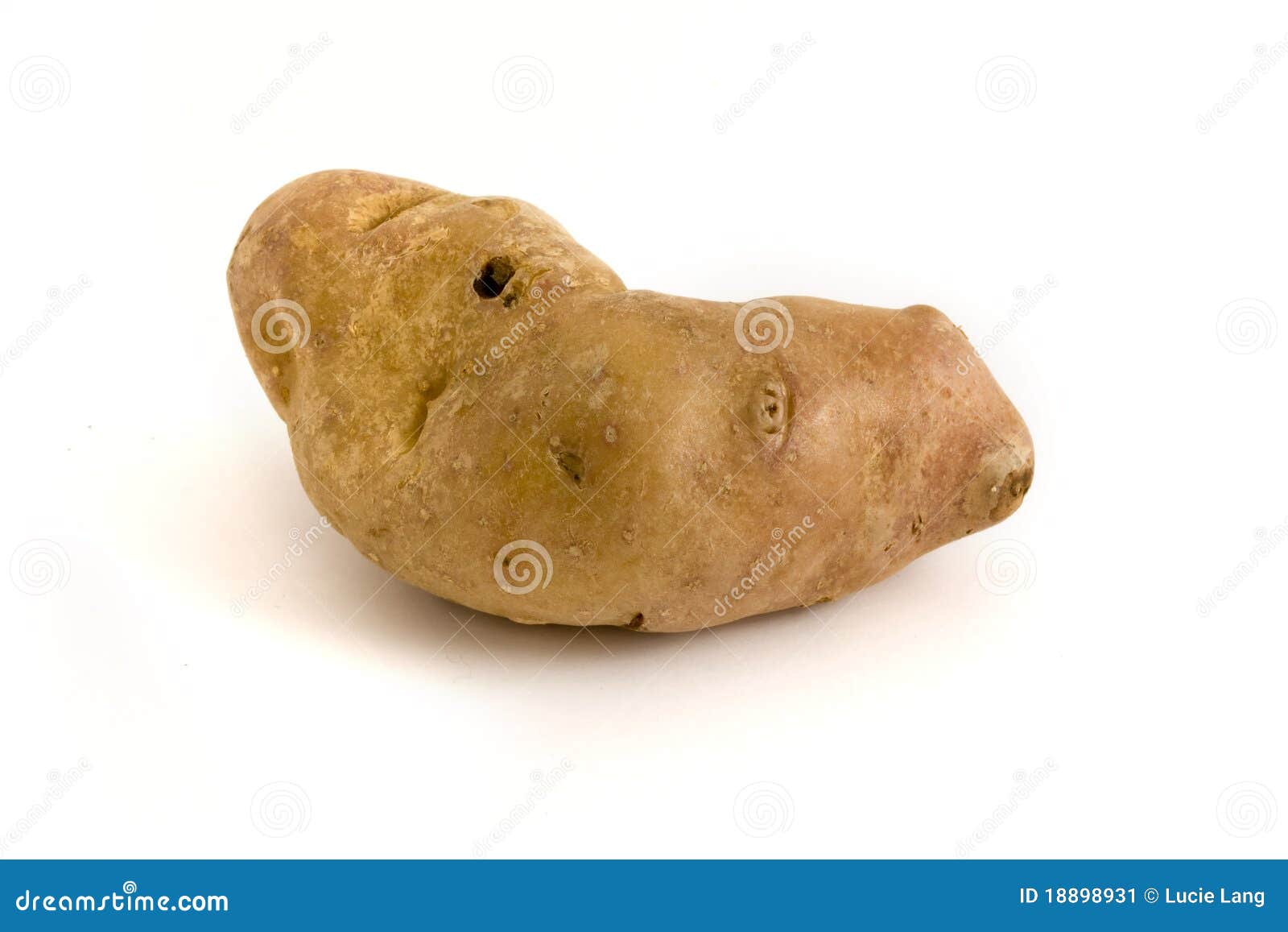 Single Misshapen Potato Over White Stock Image - Image of meal, brown ...
