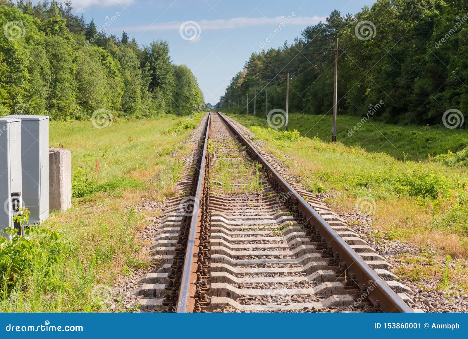 Single Modern Railroad Tracks in the Forest Stock Image - Image of ...