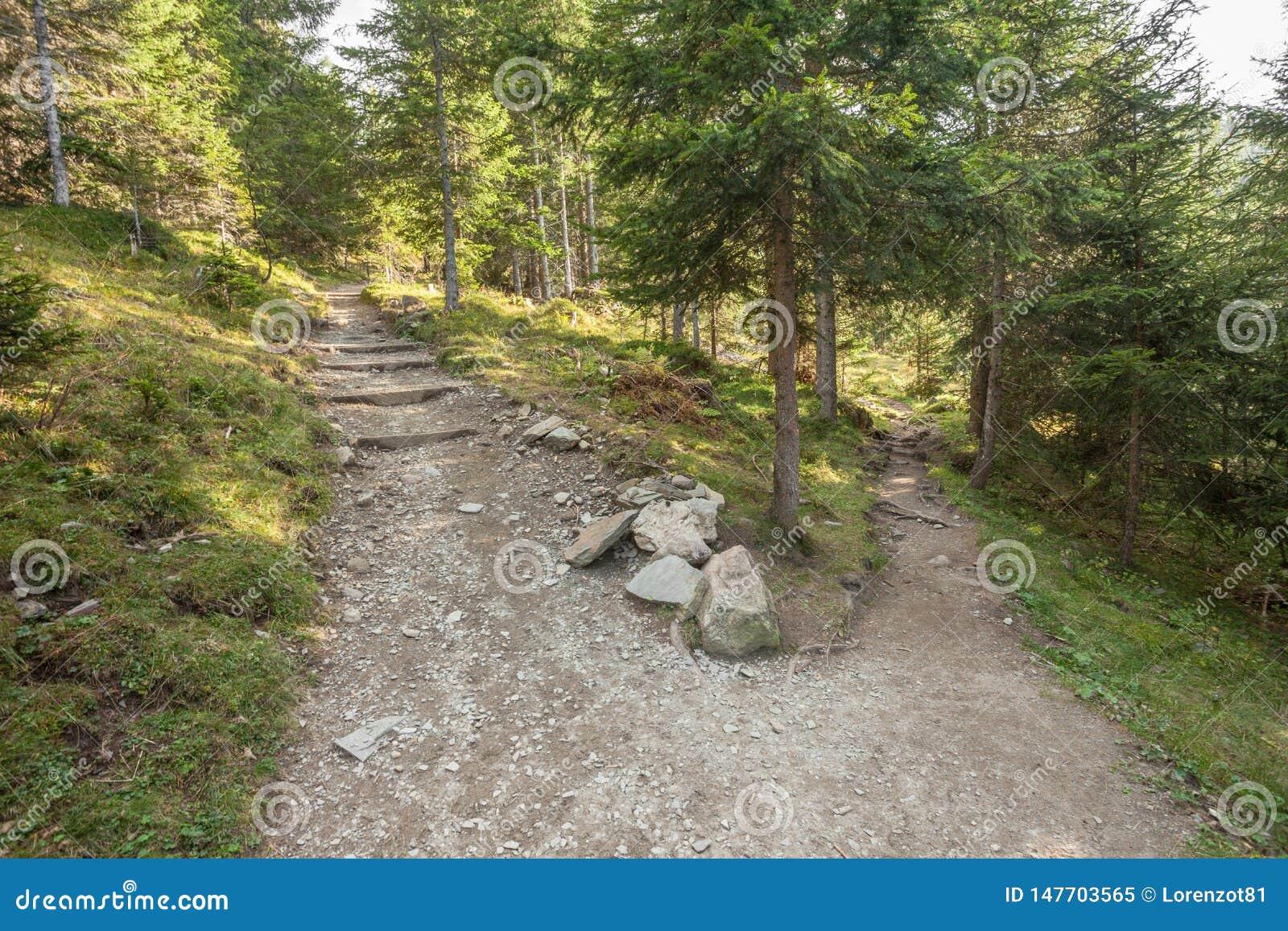 A Single Mountain Path Splits in Two Different Directions Stock Image ...