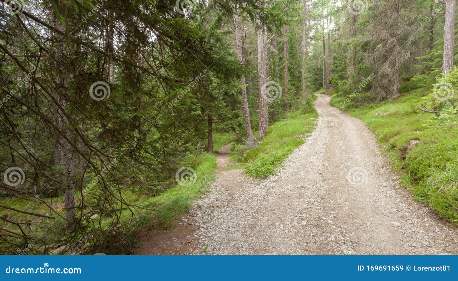 A Single Mountain Path Splits in Two Different Directions Stock Image ...