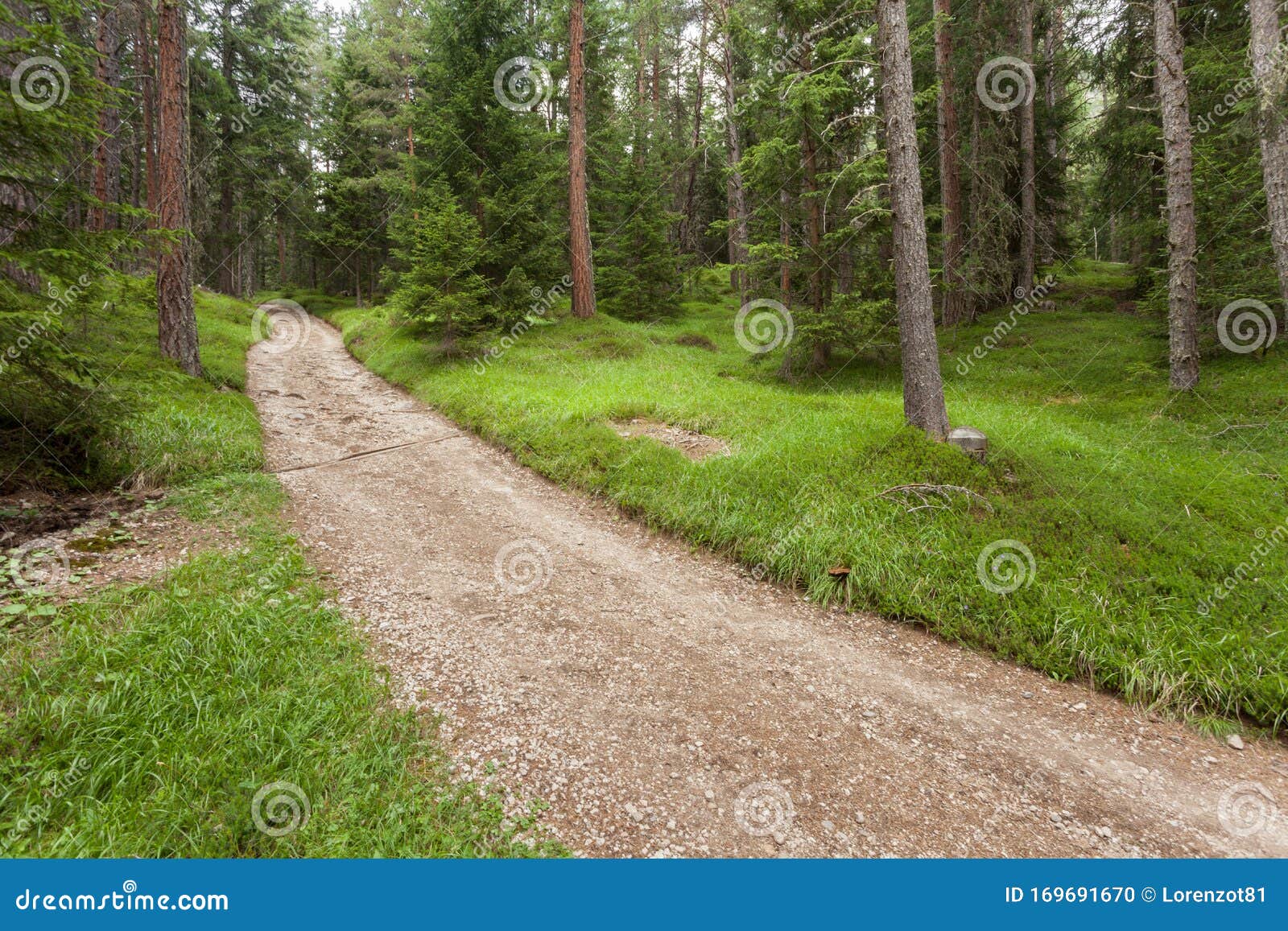 A Single Mountain Path Splits in Two Different Directions Stock Photo ...
