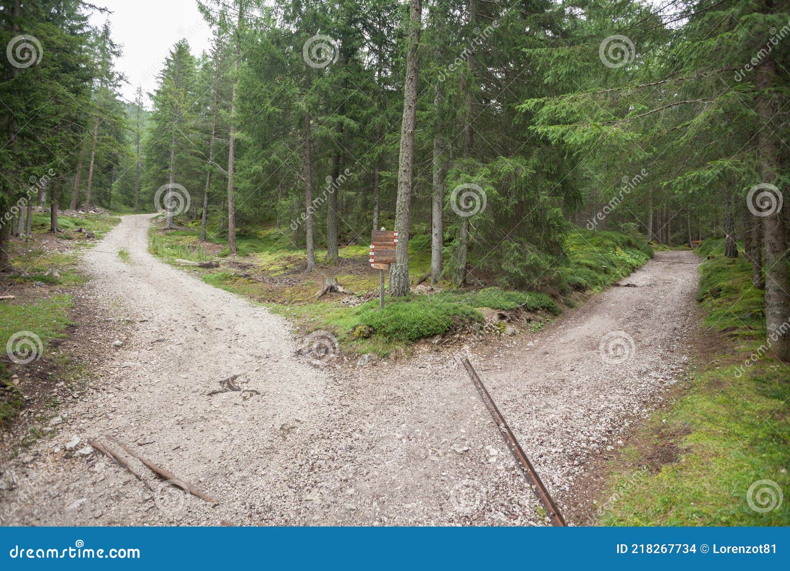 A Single Mountain Path Splits in Two Different Directions Stock Photo ...