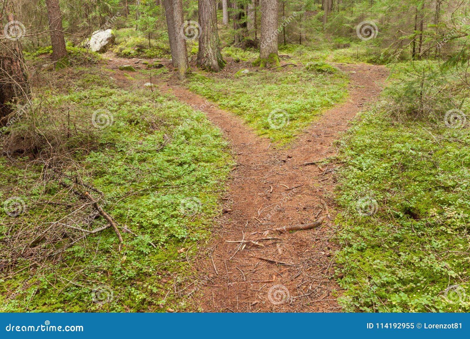 A Single Mountain Path Splits in Two Different Directions. it is an ...