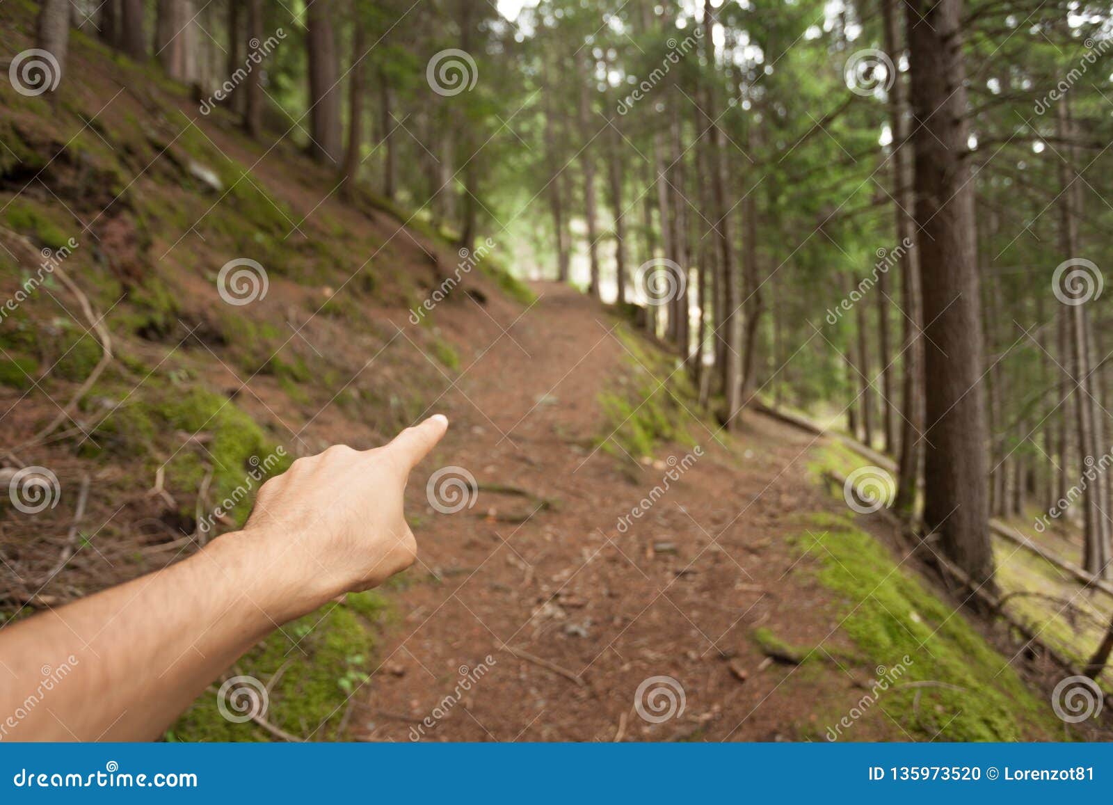 A Single Mountain Path Splits in Two Different Directions. it`s an ...