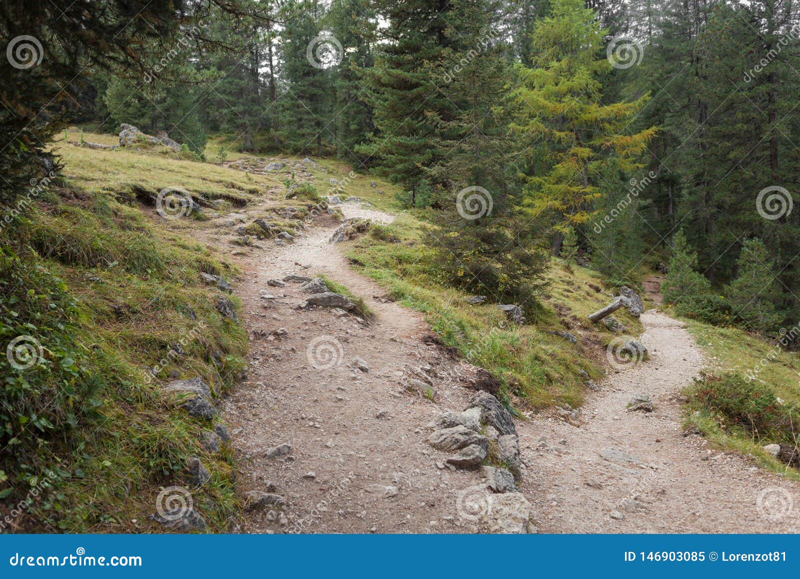 A Single Mountain Path Splits in Two Different Directions. it`s an ...