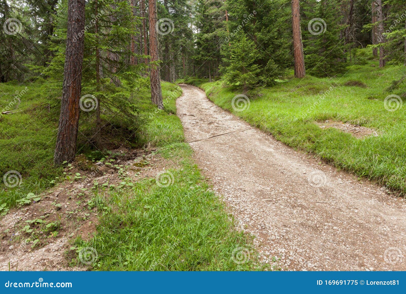 A Single Mountain Path Splits in Two Different Directions Stock Image ...