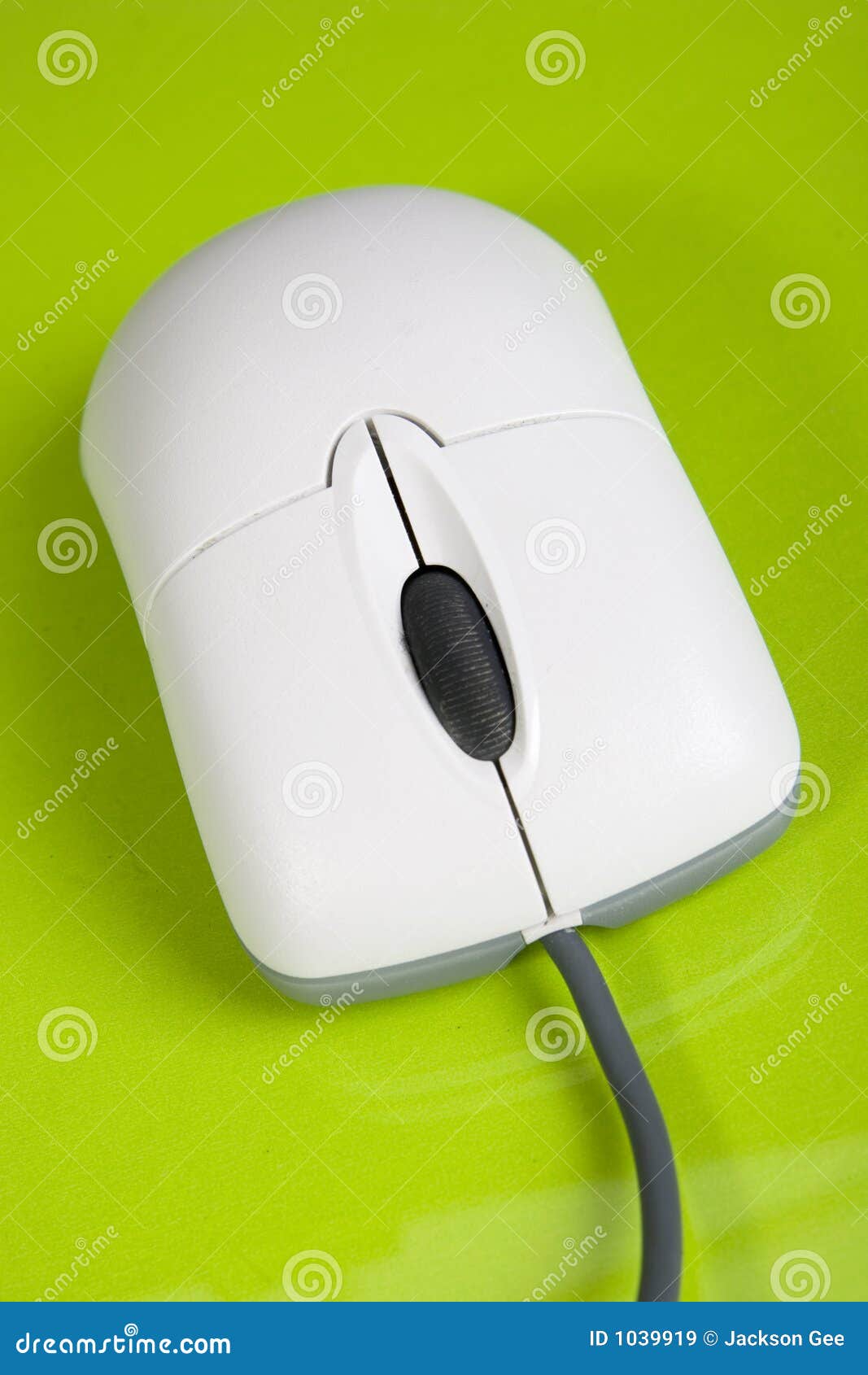 A single Mouse stock image. Image of product, optical - 1039919
