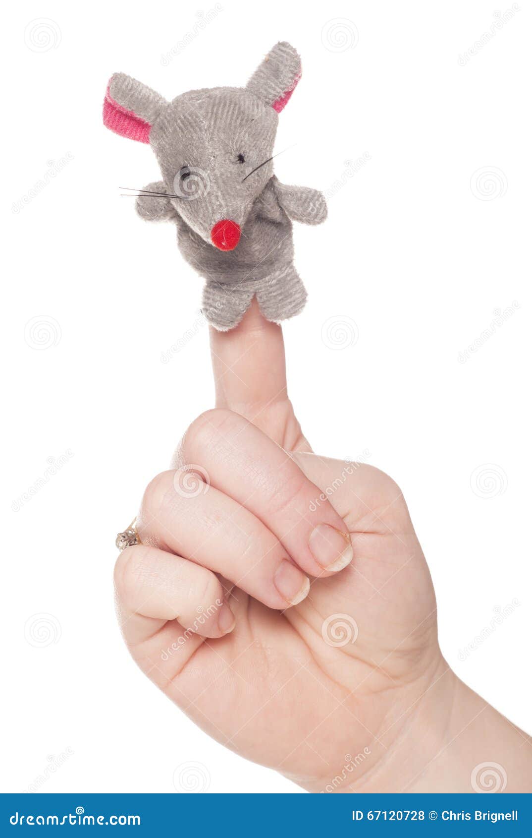 Single mouse finger puppet stock photo. Image of easter - 67120728