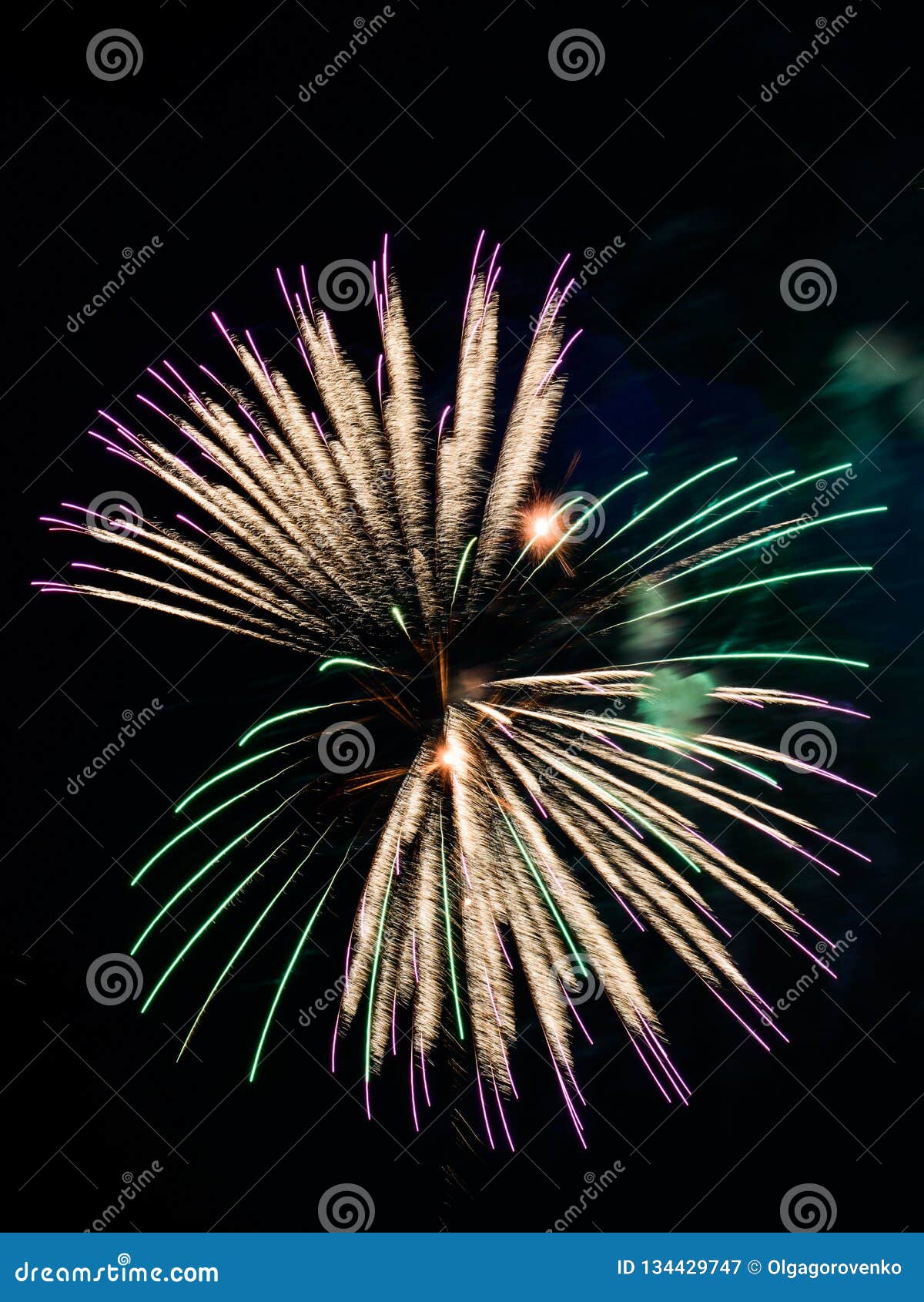 Single Multicolor Bird Flower Unique Shape Firework, Celebration Stock ...