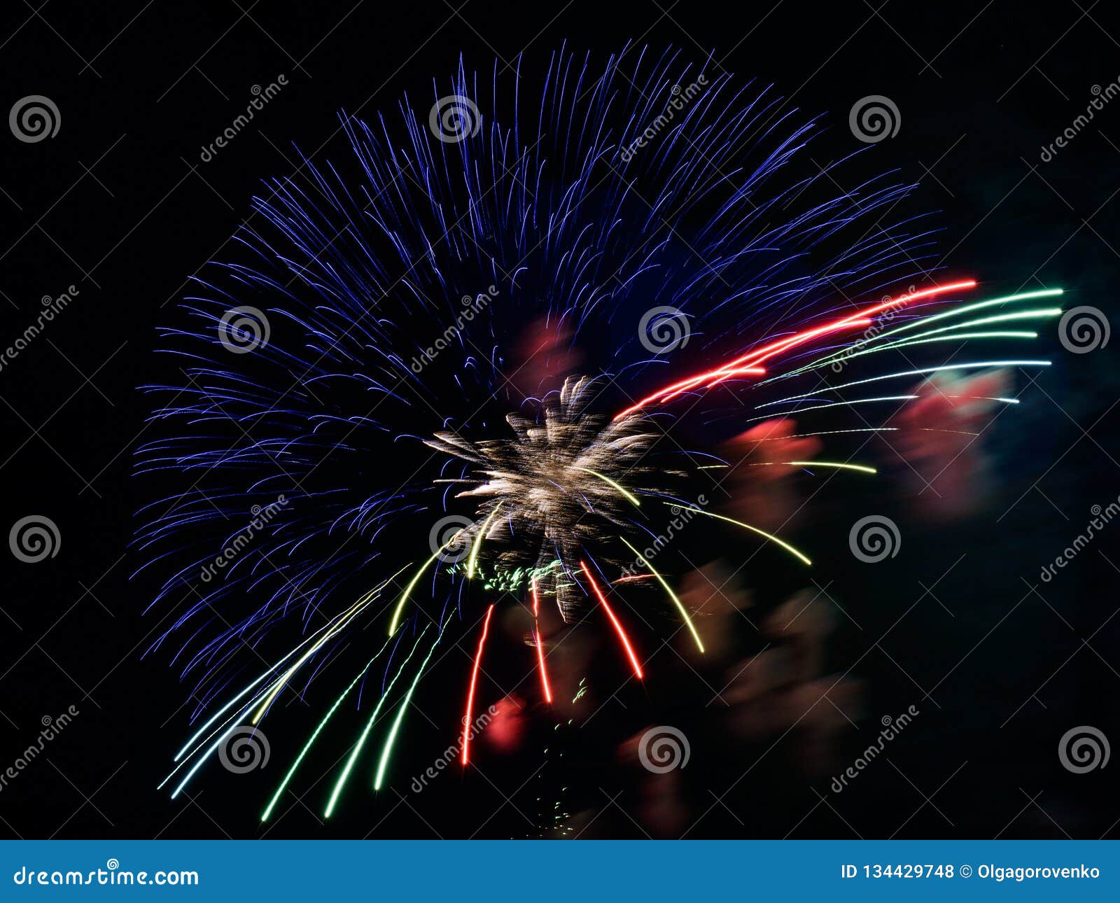 Single Multicolor Dandelion Flower Firework, Celebration Stock Photo ...