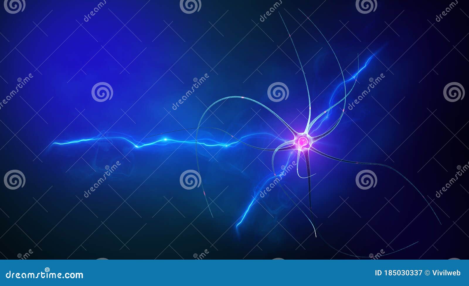 Single Neuron Stock Illustrations – 258 Single Neuron Stock ...