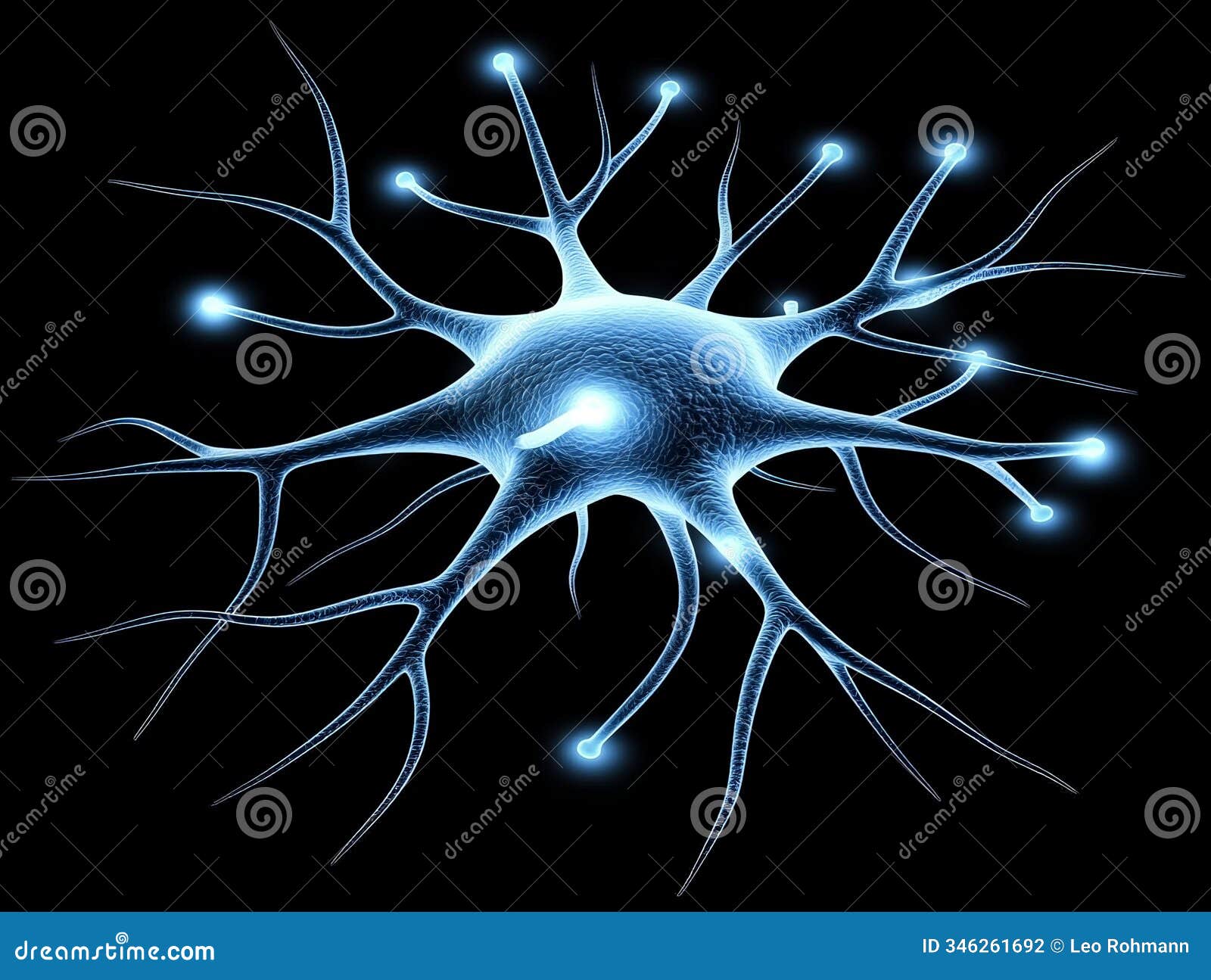 Single Neuron Illustration with Branching Dendrites and Central Axon ...